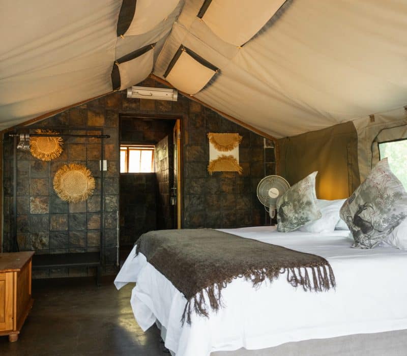 NYALA & ELAND TENTS – Kunkura